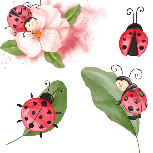 Watercolor Ladybug Clipart Set With Leaves - MasterBundles