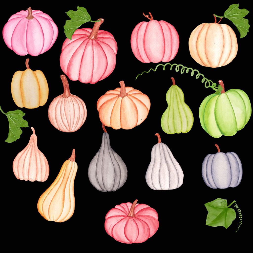 Watercolor Pumpkin Clipart Set - MasterBundles