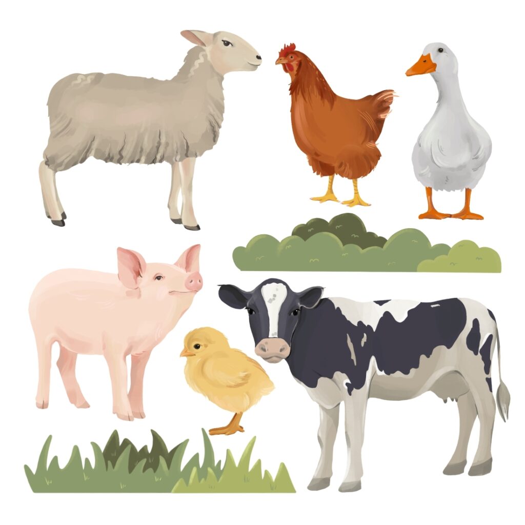 Life Of Farm Animals Clipart| MasterBundles