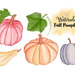 Watercolor Pumpkin Clipart Set - MasterBundles