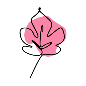 50 Minimal Boho Floral PNG Bundle - MasterBundles