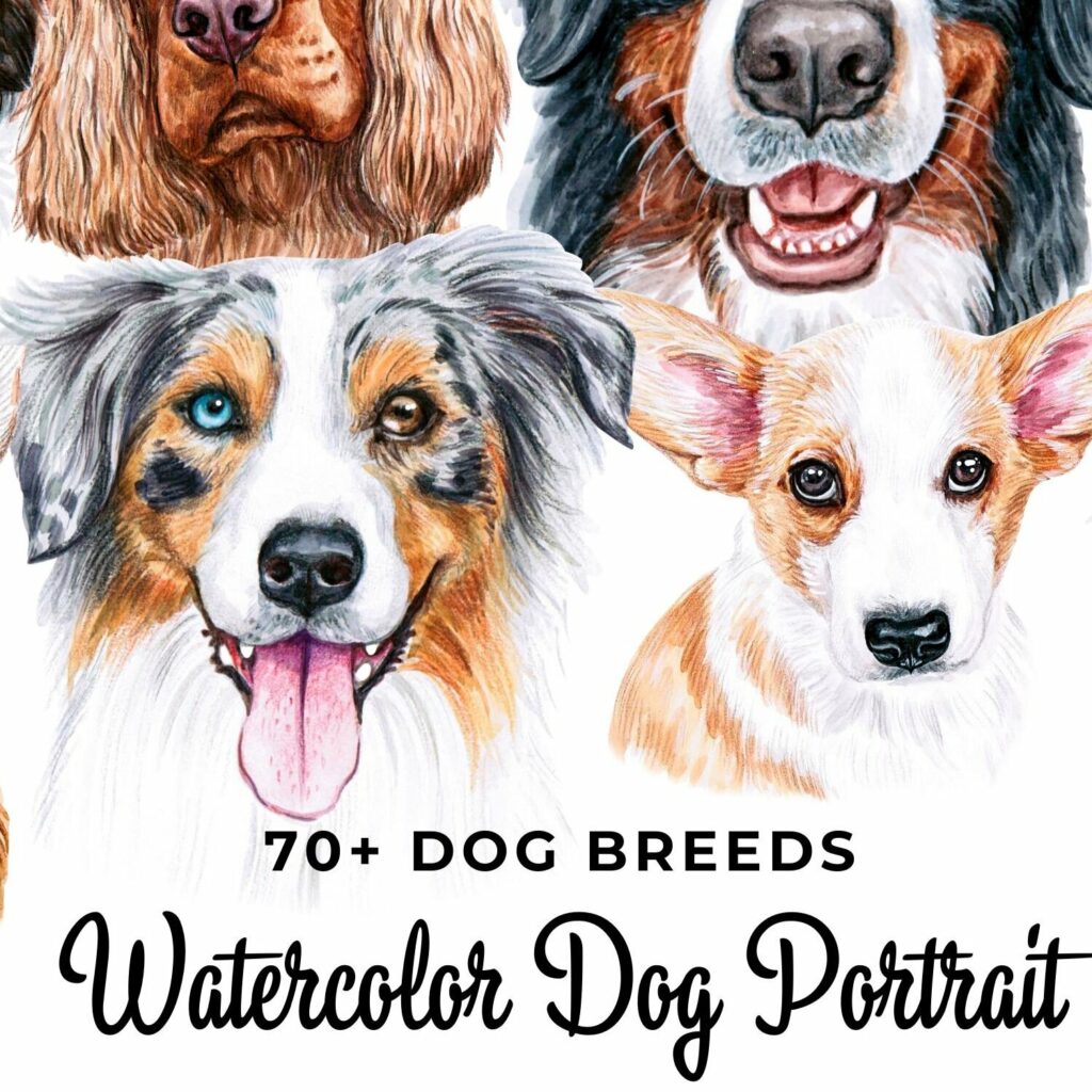 70+ Watercolor Dog Breeds – MasterBundles