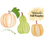 Watercolor Pumpkin Clipart Set - MasterBundles