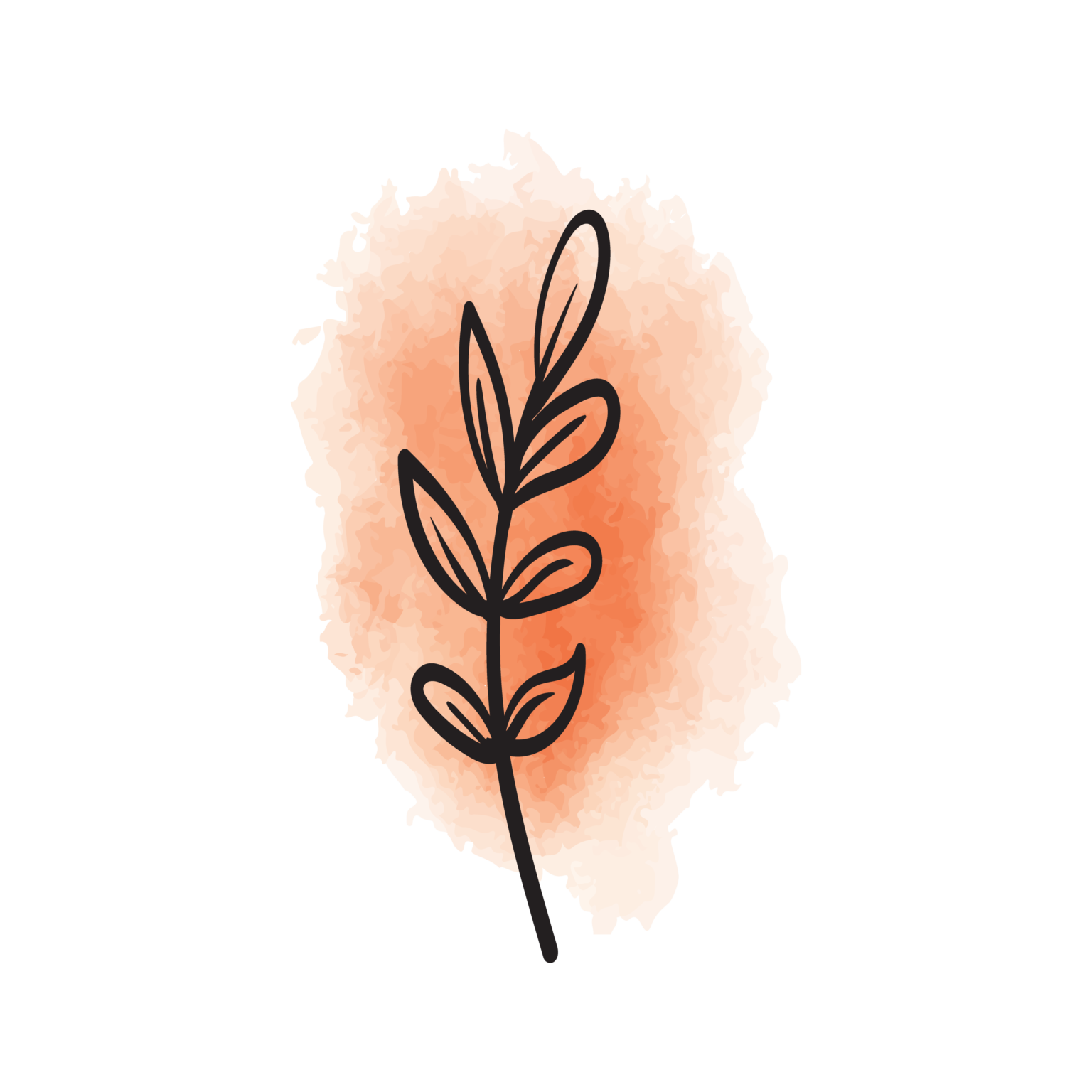 50 Minimal Boho Floral PNG Bundle - MasterBundles