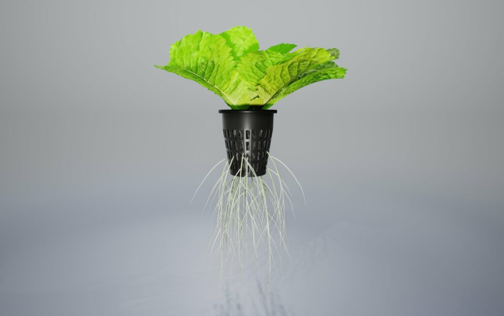 Lettuce Grean – MasterBundles
