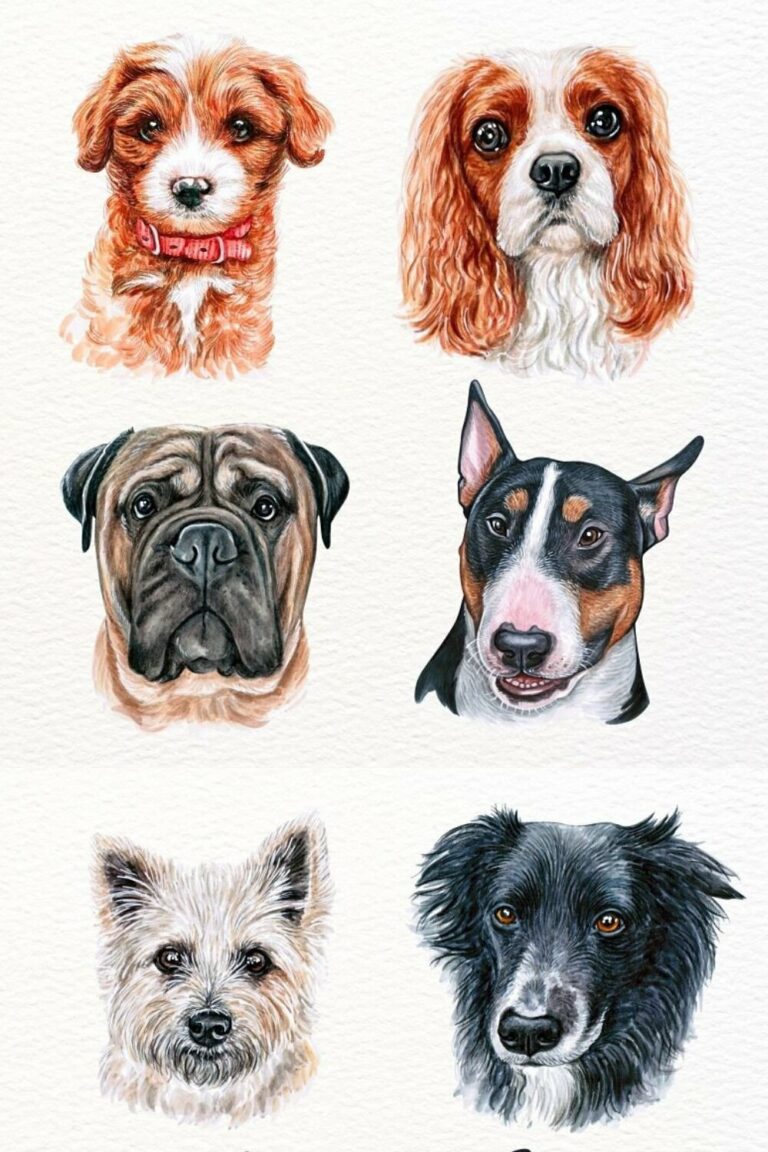 70+ Watercolor Dog Breeds – MasterBundles
