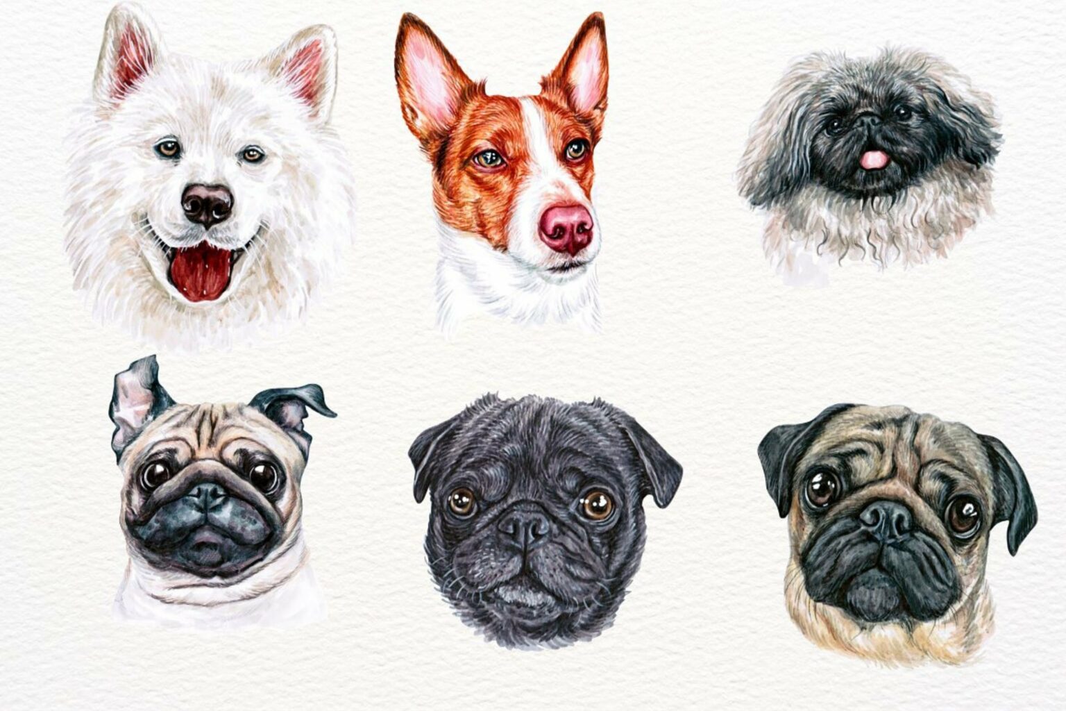 70+ Watercolor Dog Breeds – MasterBundles
