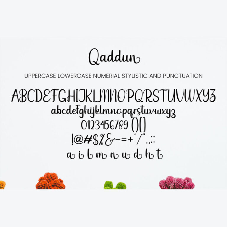 Qaddun Font - MasterBundles