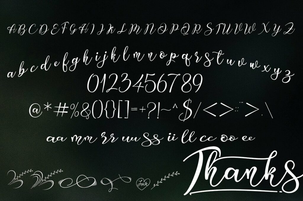 Carolina Stylish Calligraphy Font – MasterBundles