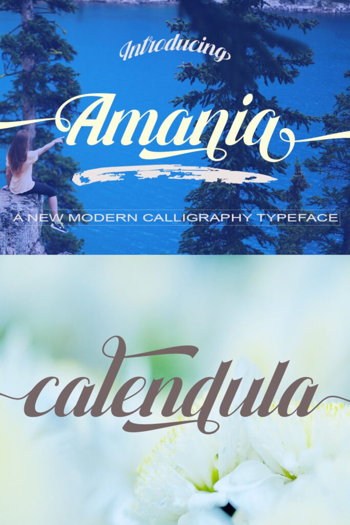 Amania Stylish Calligraphy – MasterBundles