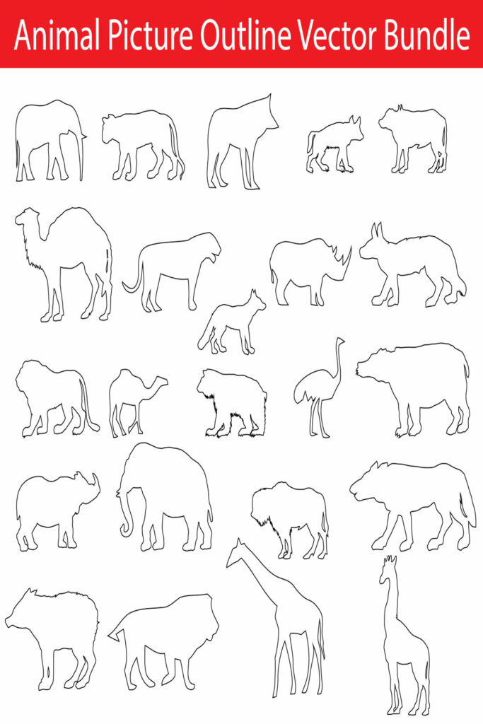 Animal Picture Outline Vector Bundle | MasterBundles