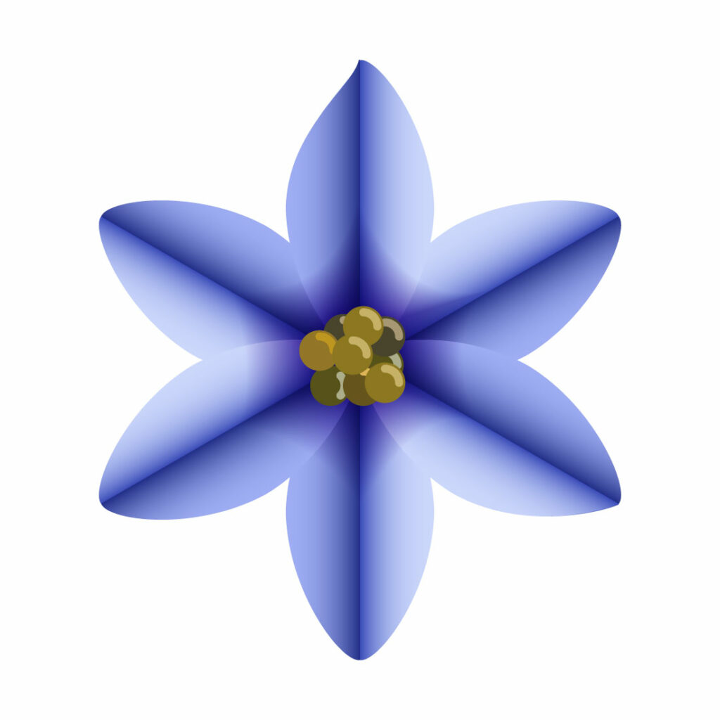 Flower Collection of Rose, Aster, Blue Star, Dahlia Vector - MasterBundles