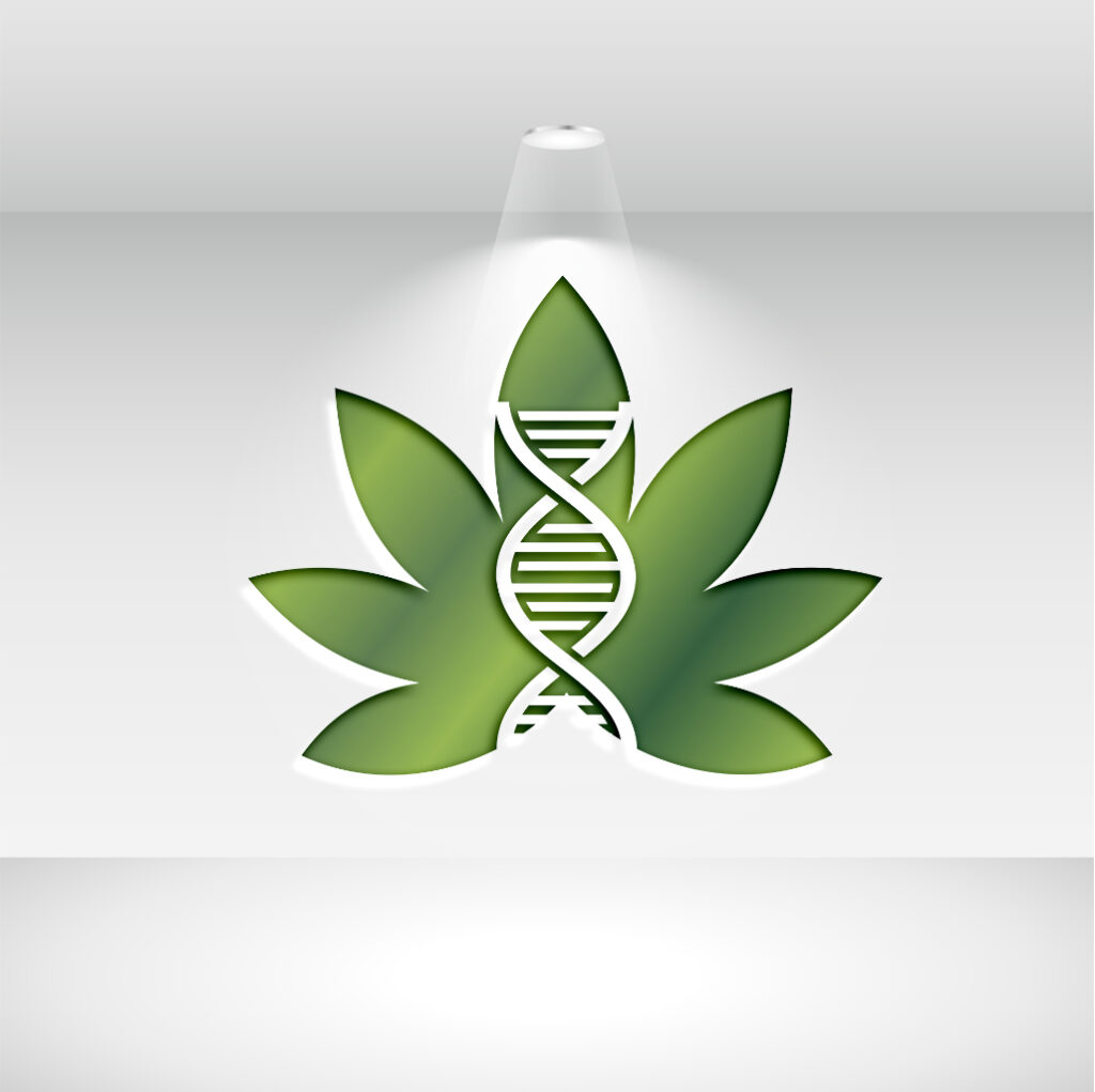 Cannabis Vector Logo Design Template - MasterBundles