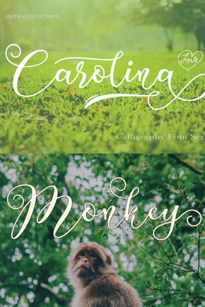 Carolina Stylish Calligraphy Font – MasterBundles
