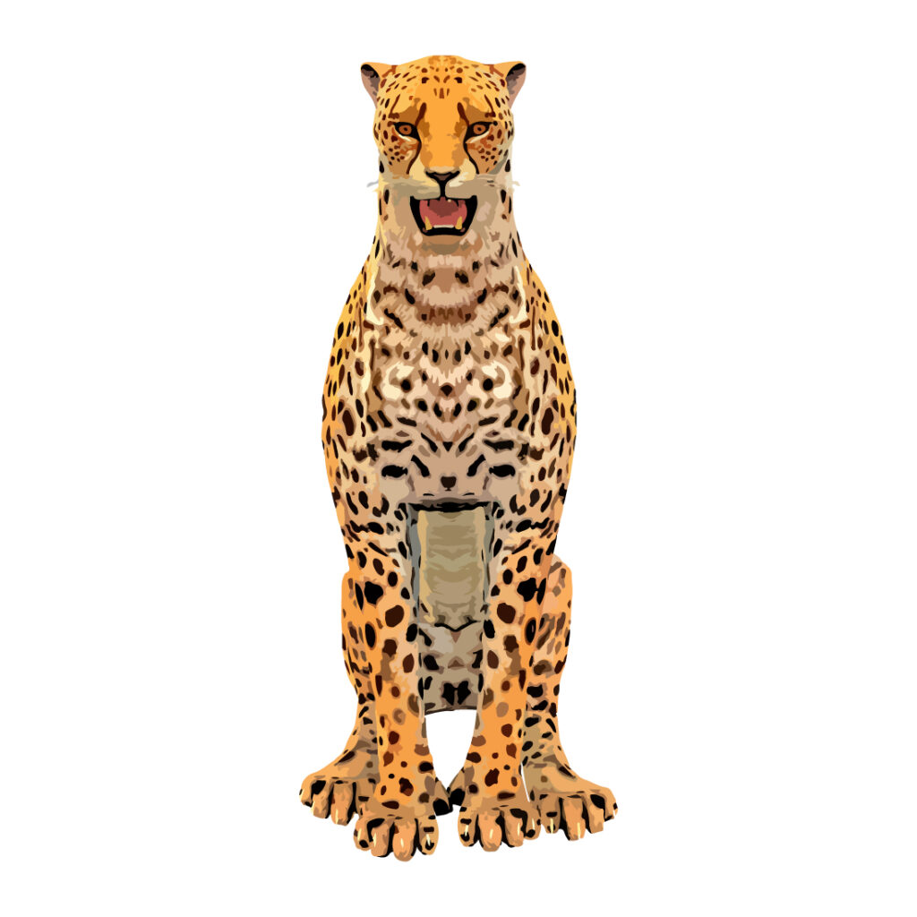 It is a professional Cheetah vector-1 - MasterBundles