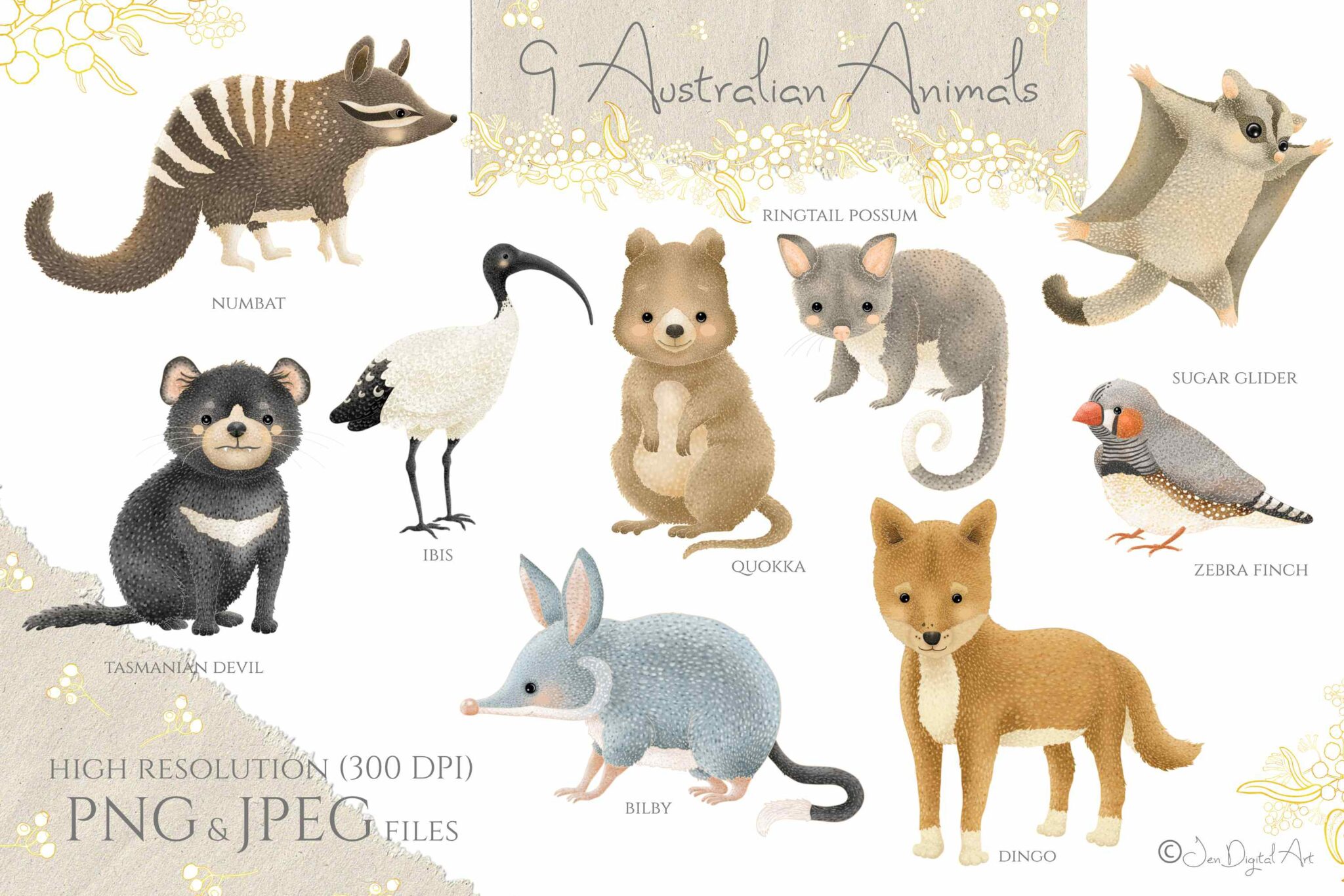 Australian Animals Vol II Clip Art Collection - MasterBundles