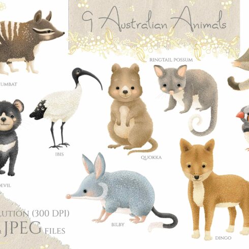 Australian Animals Vol II Clip Art Collection - MasterBundles