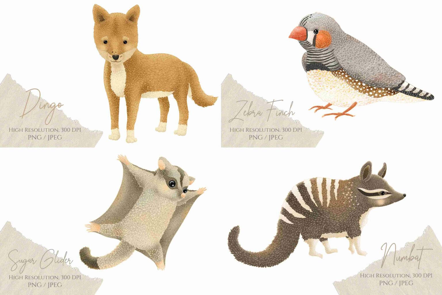 Australian Animals Vol II Clip Art Collection - MasterBundles