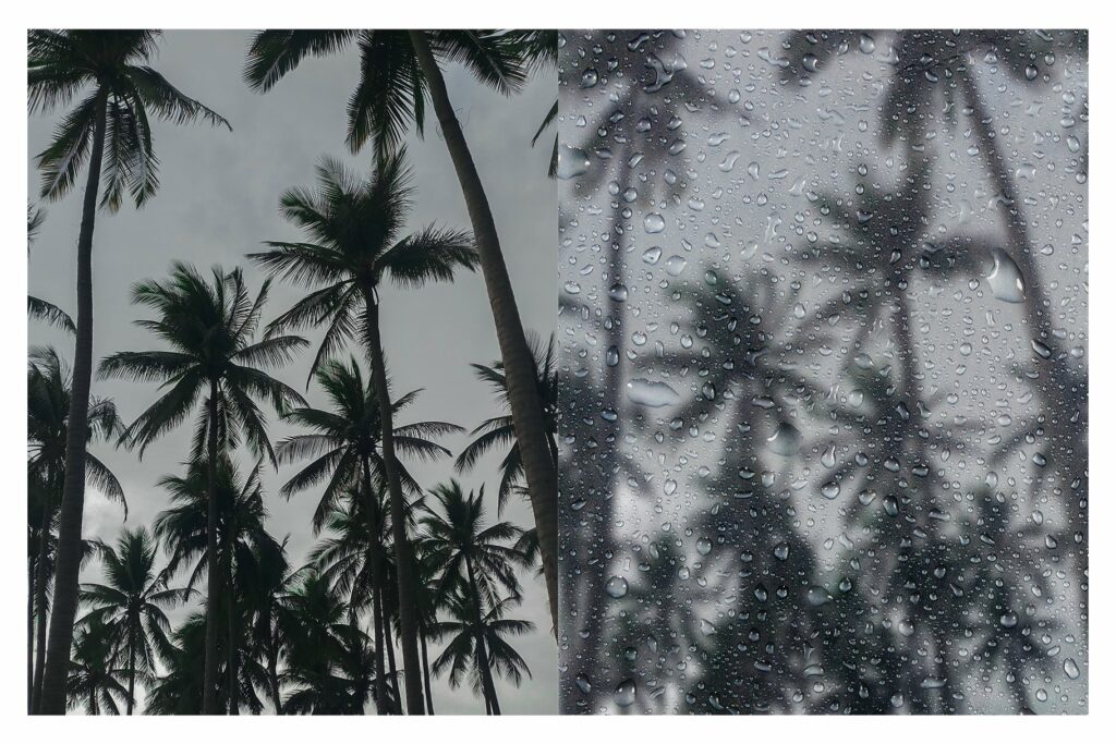 20 Water Drops Overlays – MasterBundles