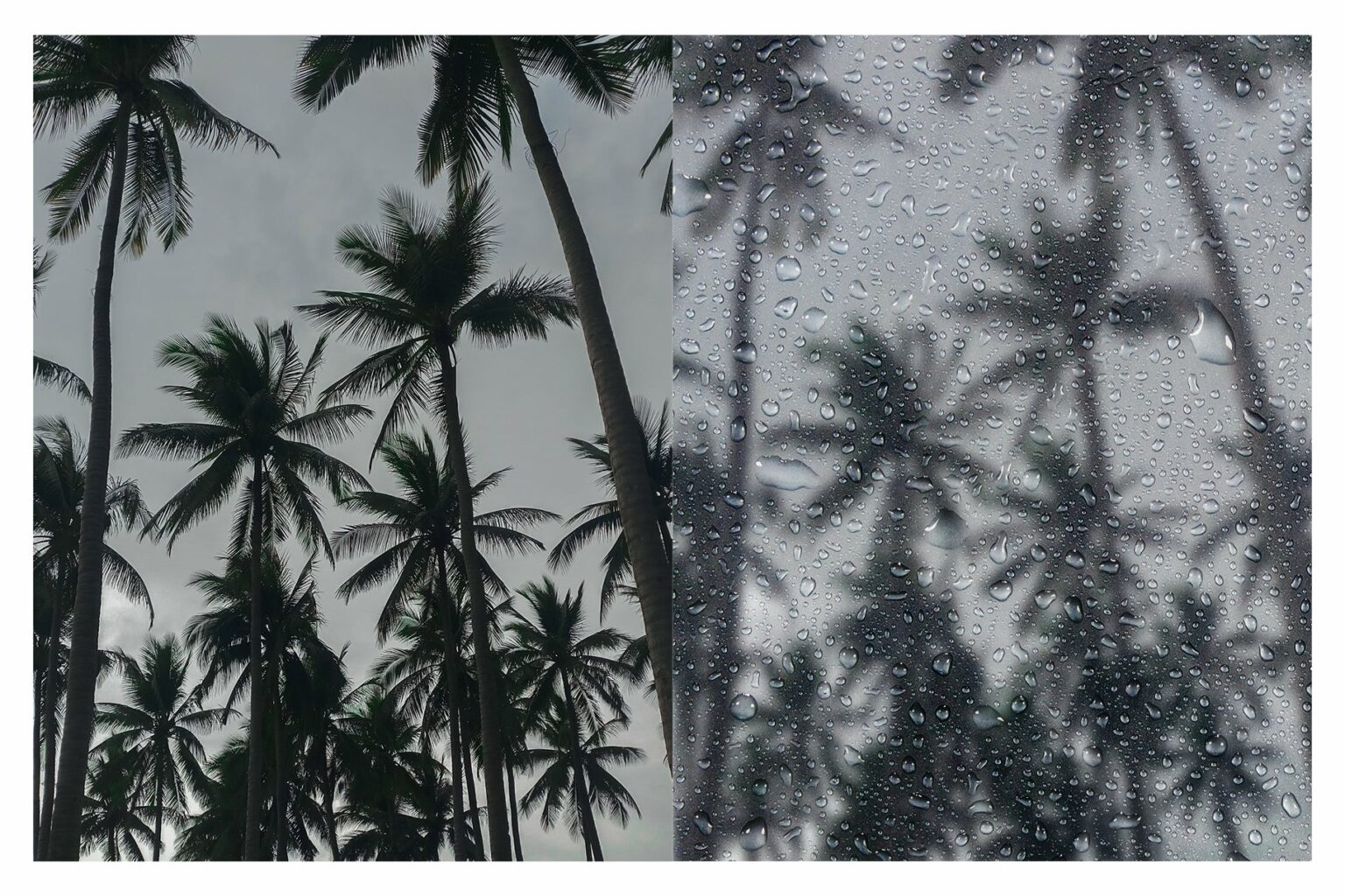 20 Water Drops Overlays – MasterBundles