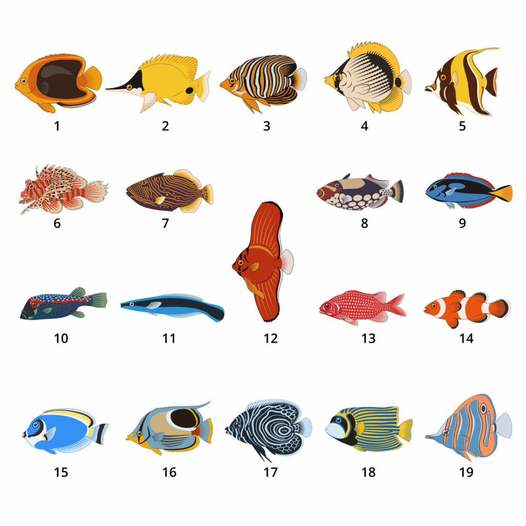 Tropical Fish Cliparts Bundle - MasterBundles