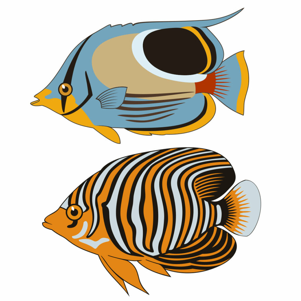 Tropical Fish Cliparts Bundle - MasterBundles