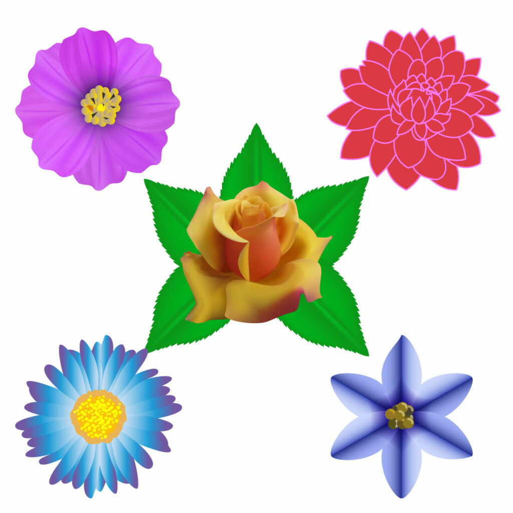 Flower Collection of Rose, Aster, Blue Star, Dahlia Vector - MasterBundles