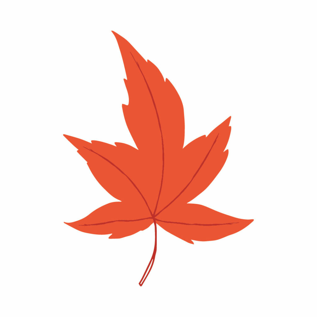 Autumn Leaves Design Bundle Vector - MasterBundles