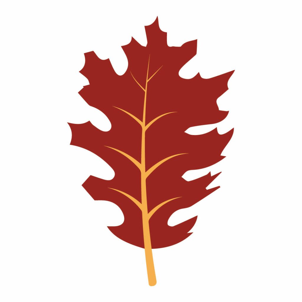 Autumn Leaves Design Bundle Vector - MasterBundles