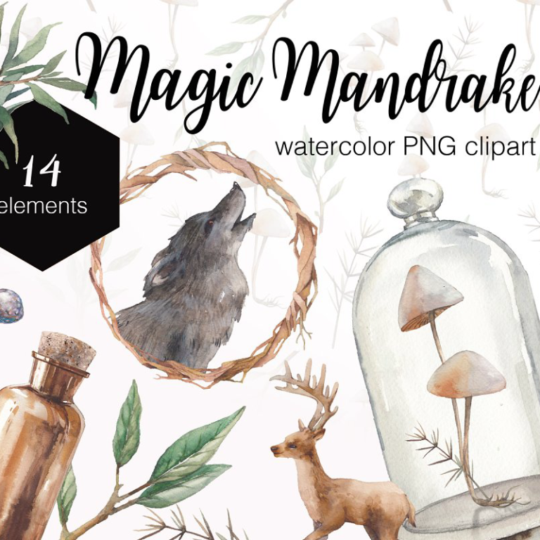 Magic Mandrake – MasterBundles