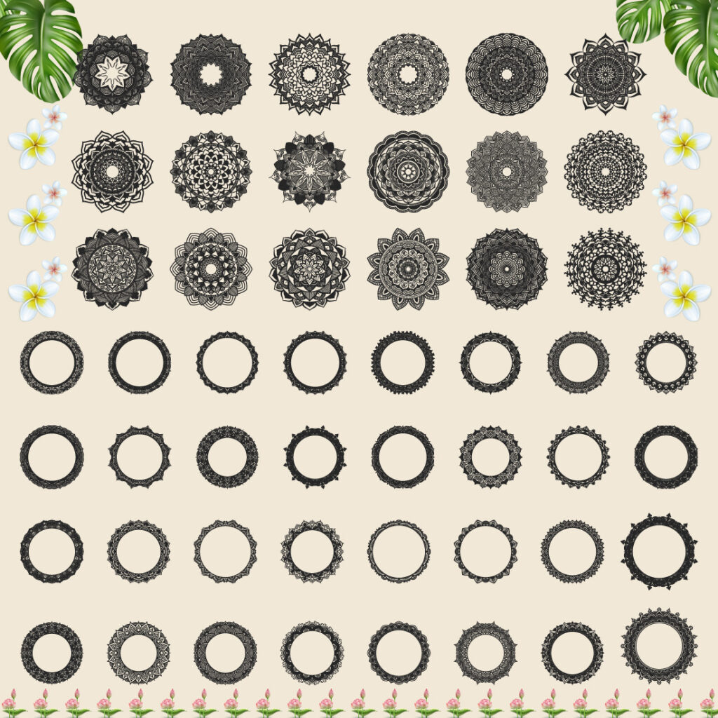 50 mandala background & frame vector-svg-dxf - MasterBundles