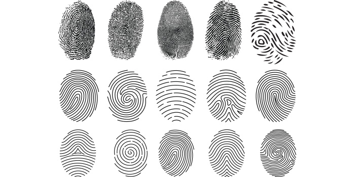 Fingerprint SVG Vector Design | MasterBundles