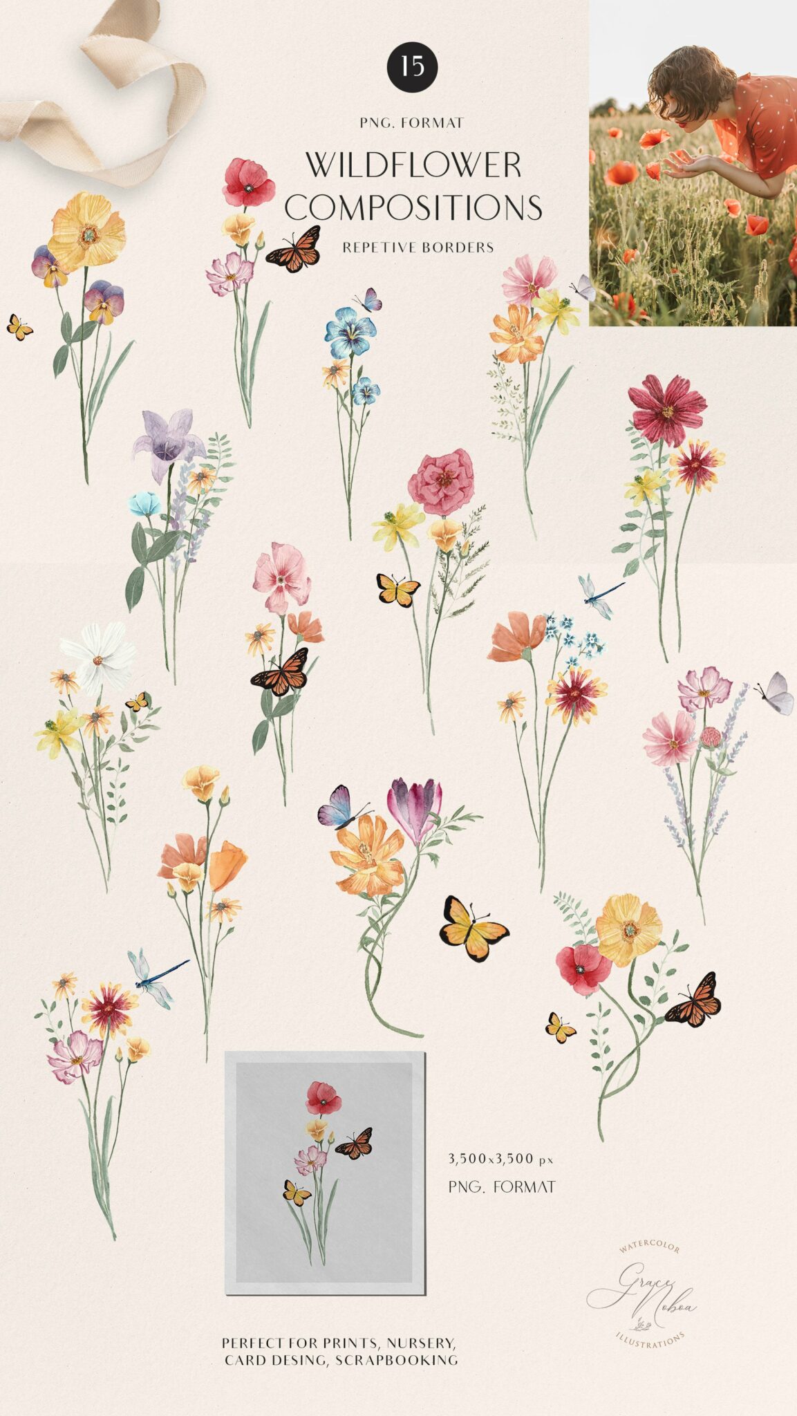 Meadow Bright Wild Flowers Set – MasterBundles