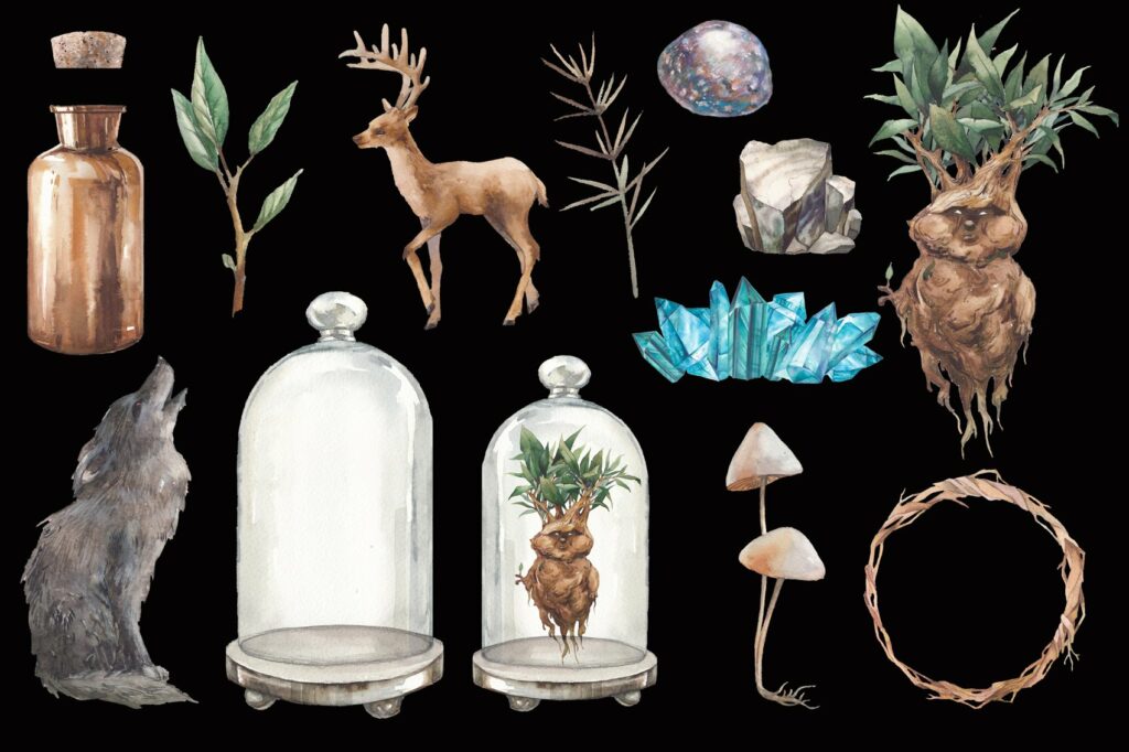 Magic Mandrake – MasterBundles