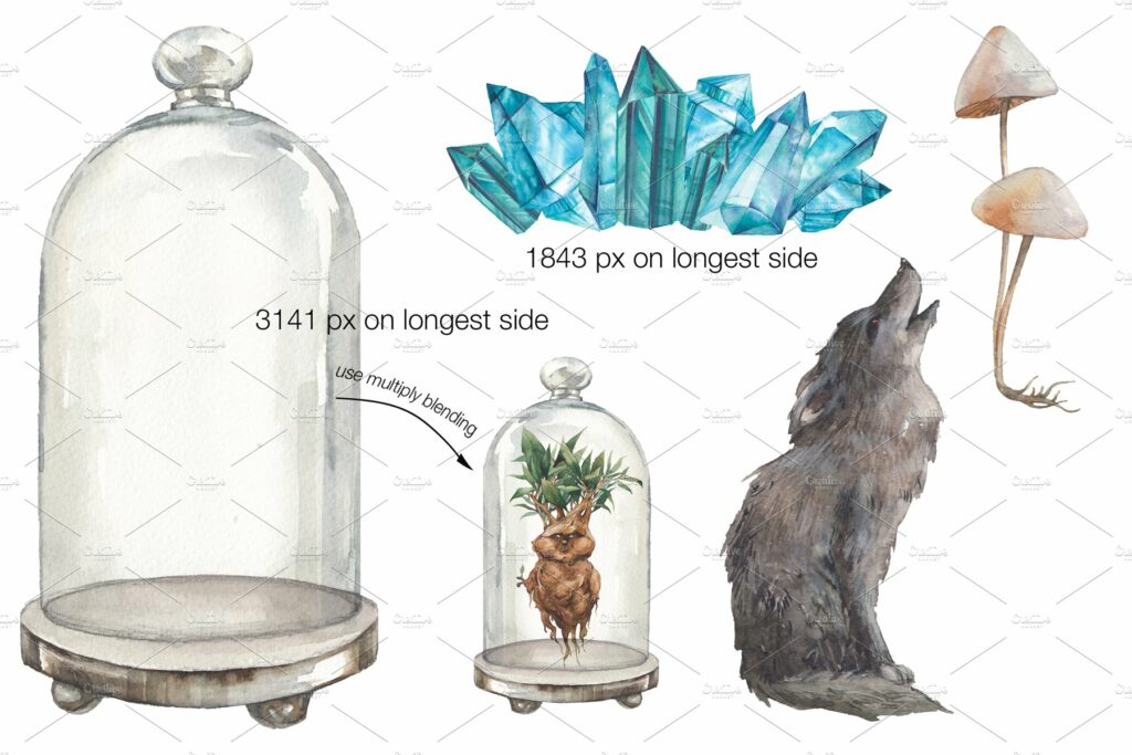 Magic Mandrake – MasterBundles