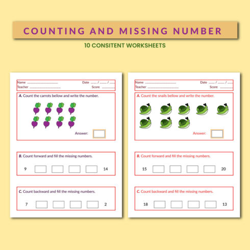 Counting And Missing Numbers Activity Pages - MasterBundles