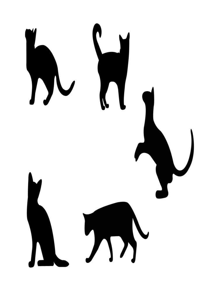 Cat Svg | MasterBundles