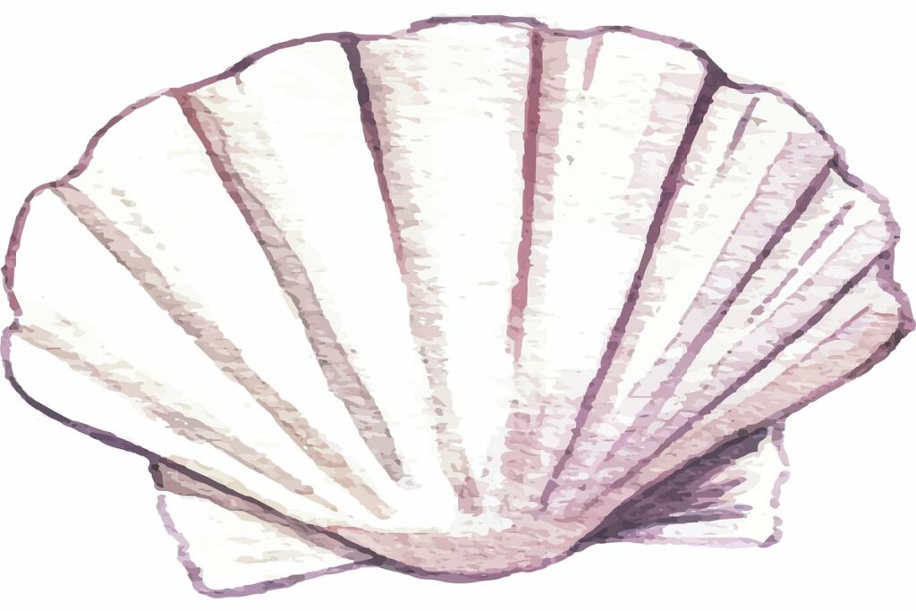 Seashell Clipart – MasterBundles