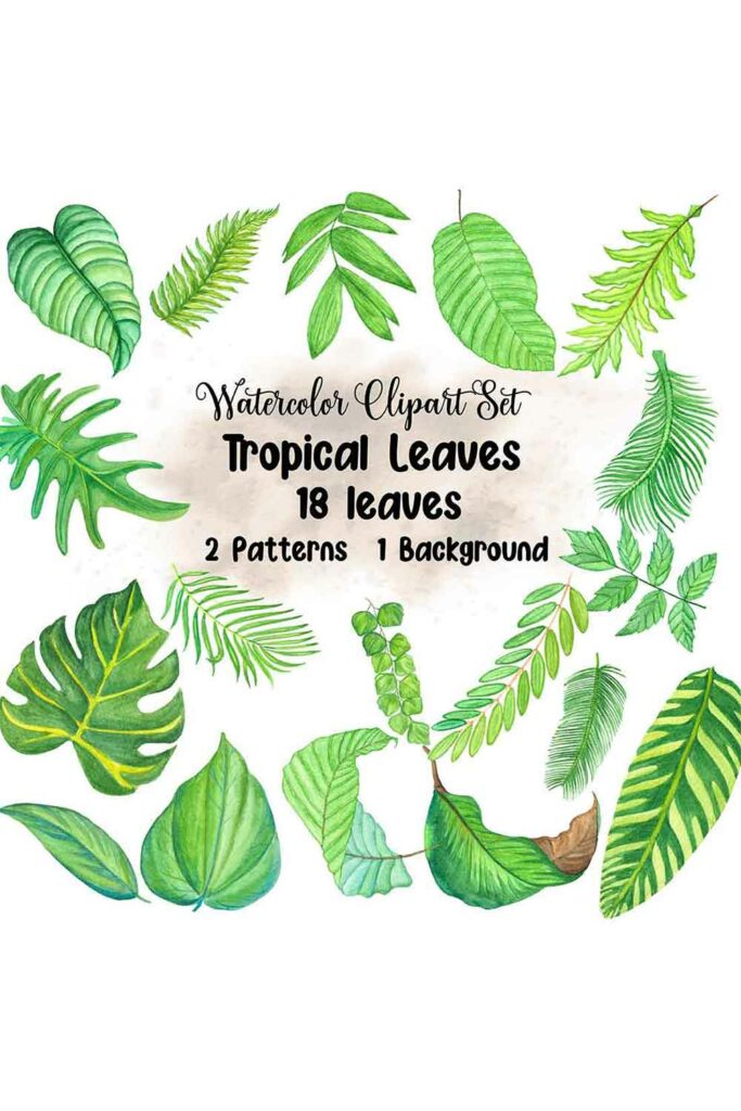 Watercolor Tropical Leaves Set - MasterBundles