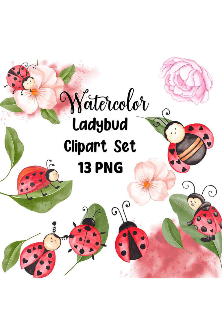 Watercolor Ladybug Clipart Set With Leaves - MasterBundles