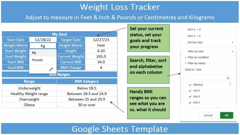 Editable Weight Loss Tracker Template for Google Sheets - MasterBundles