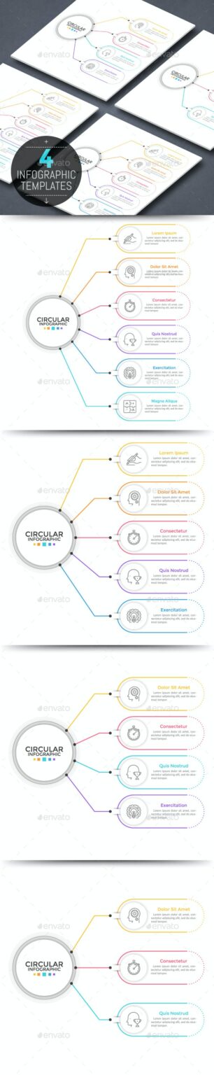 Modern Infographic Linear Choice Template – MasterBundles
