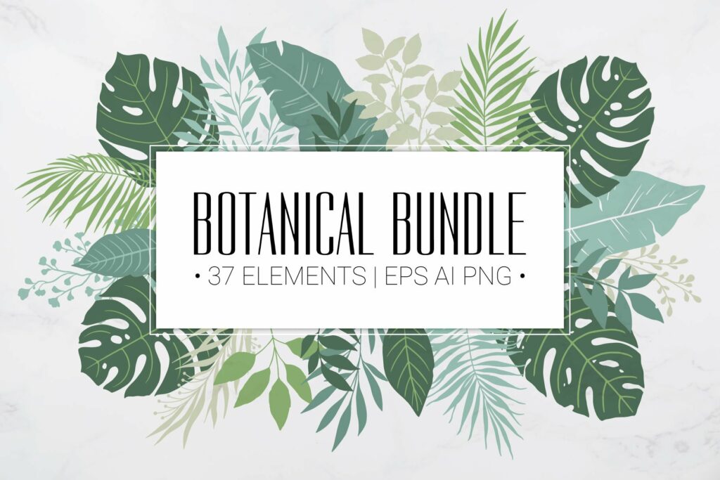 BOTANICAL TROPICAL VECTOR BUNDLE – MasterBundles
