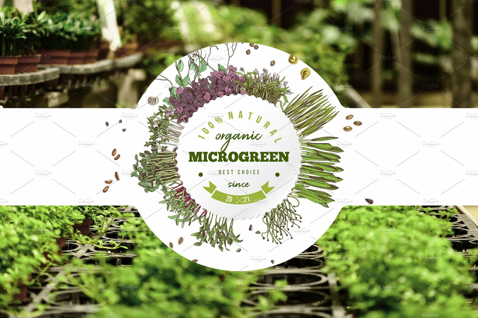 Hand drawn microgreen set – MasterBundles