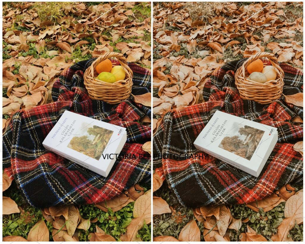 30 Moody Autumn Presets – MasterBundles
