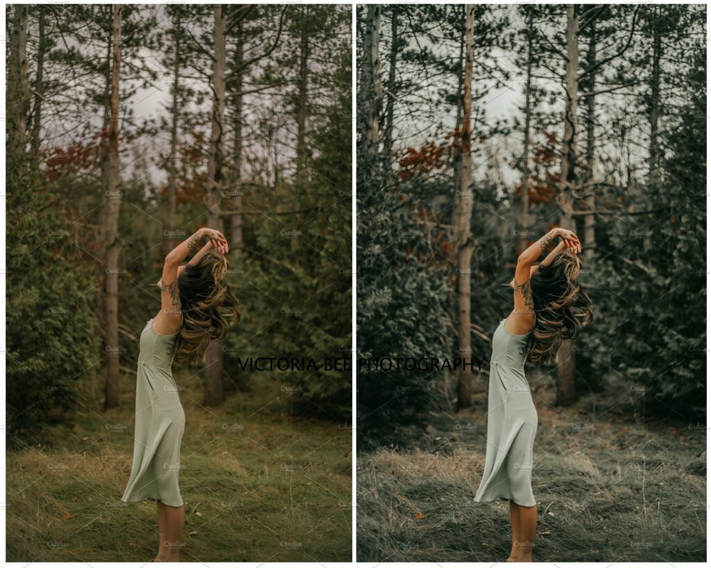 30 Moody Autumn Presets – MasterBundles