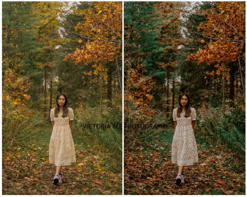 30 Moody Autumn Presets – MasterBundles