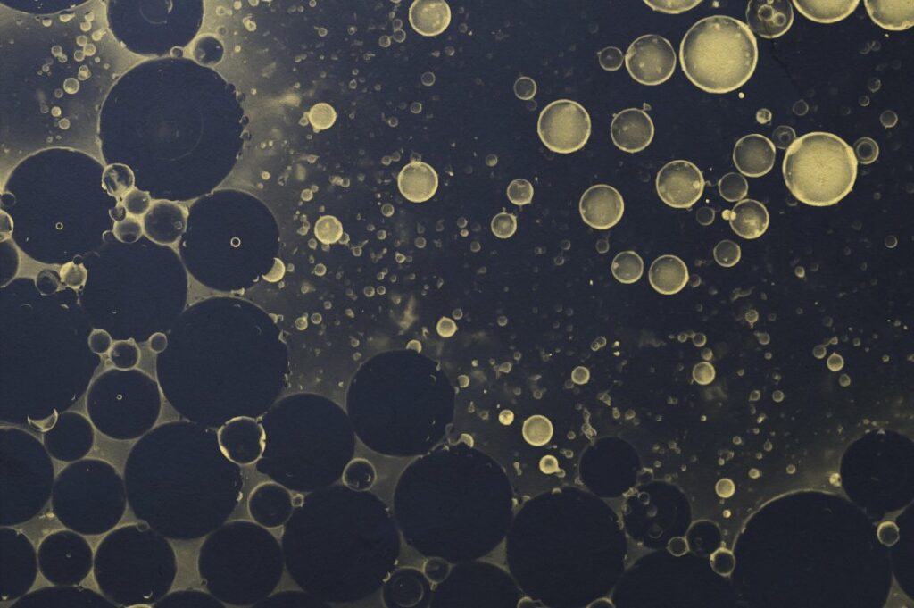 Cell Photoshop Brushes – MasterBundles