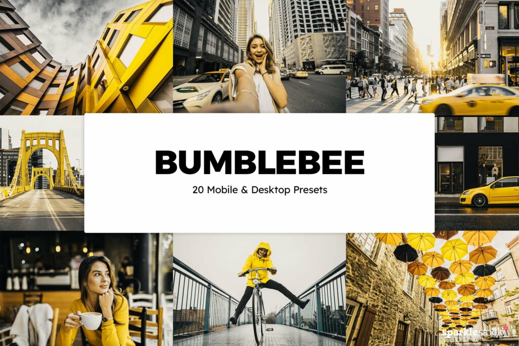 20 Bumblebee Lightroom Presets LUTs – MasterBundles