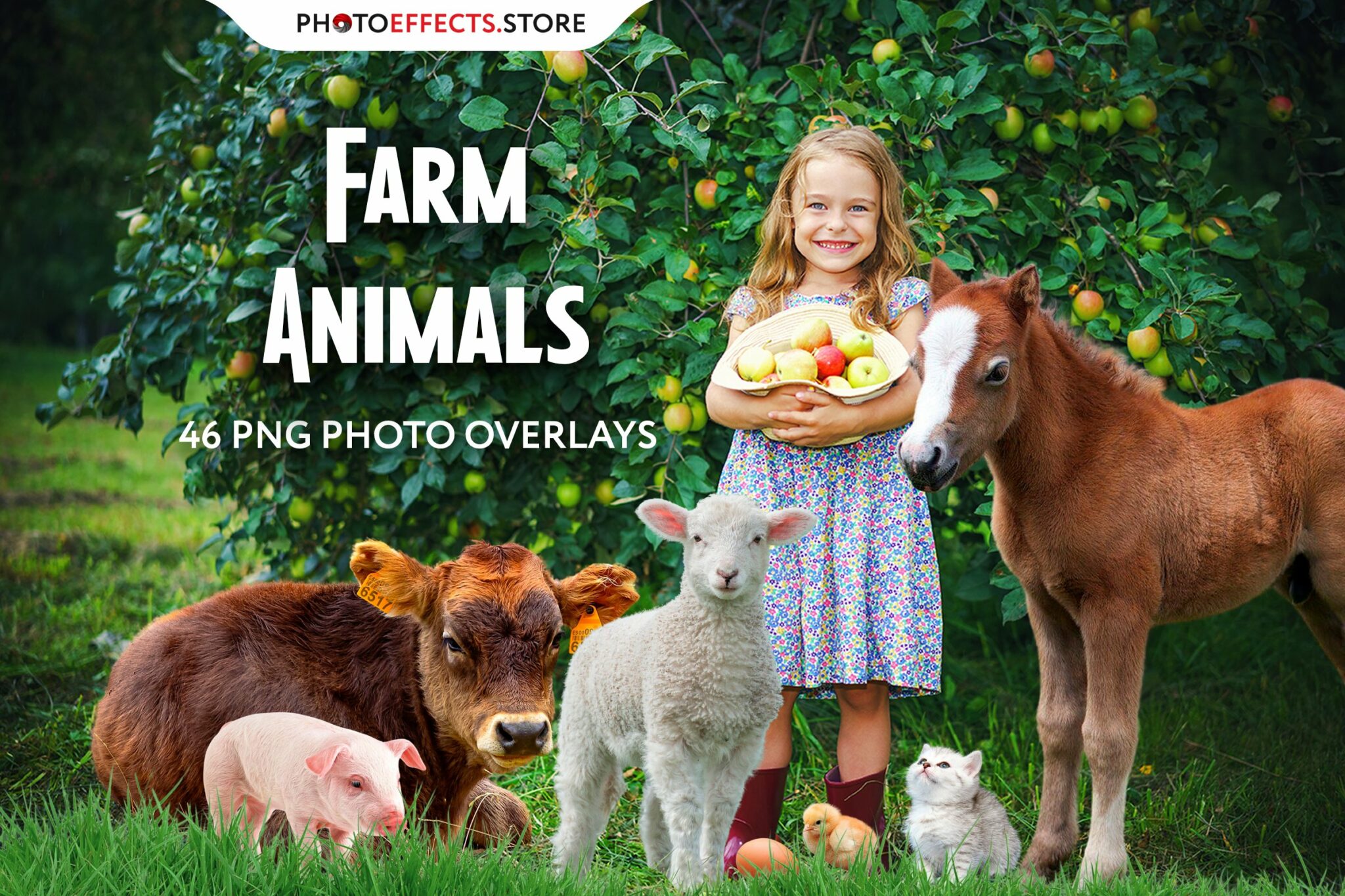 46 Farm Animals Photo Overlays – MasterBundles